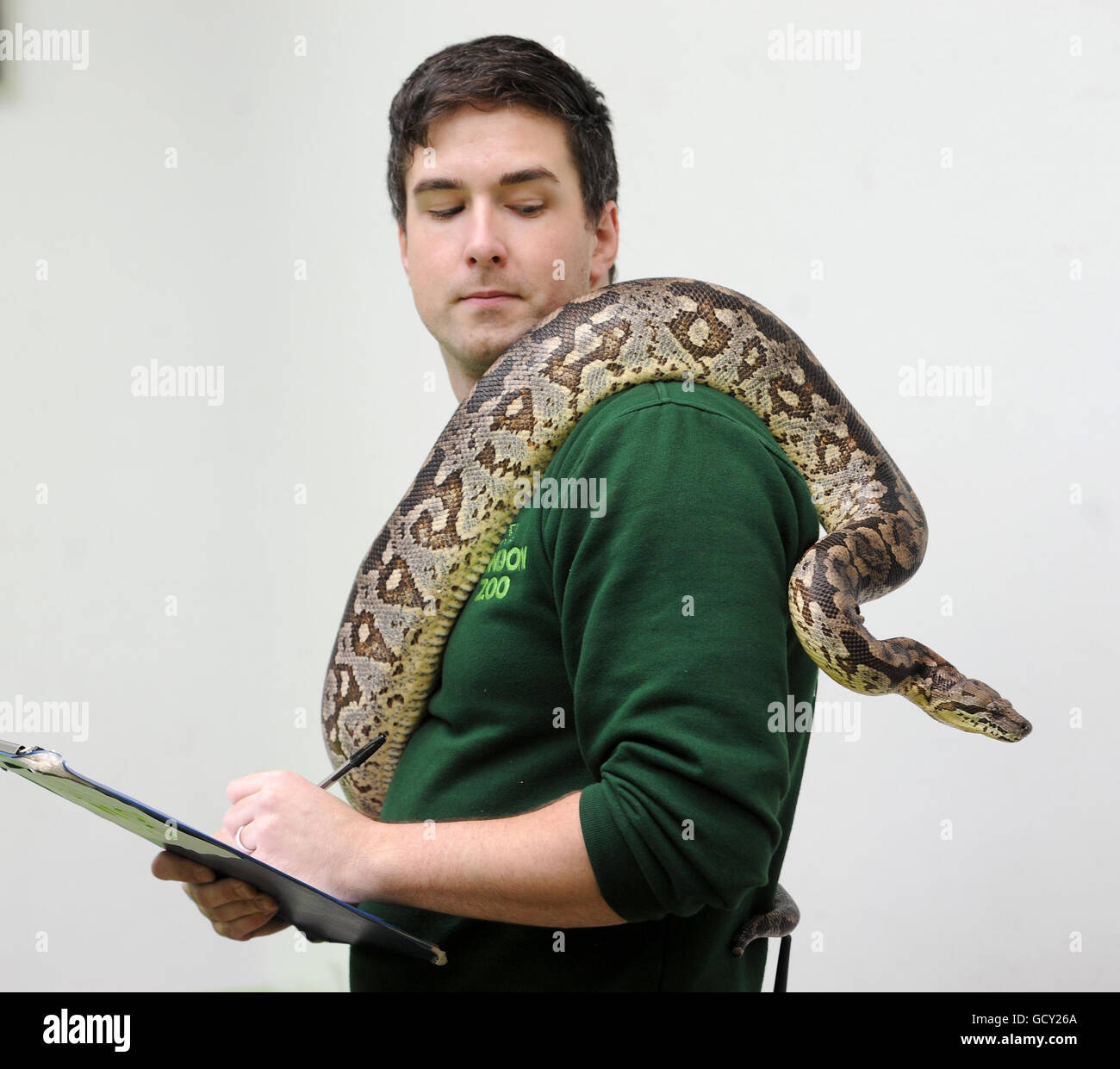 Snake london zoo hi-res stock photography and images - Alamy