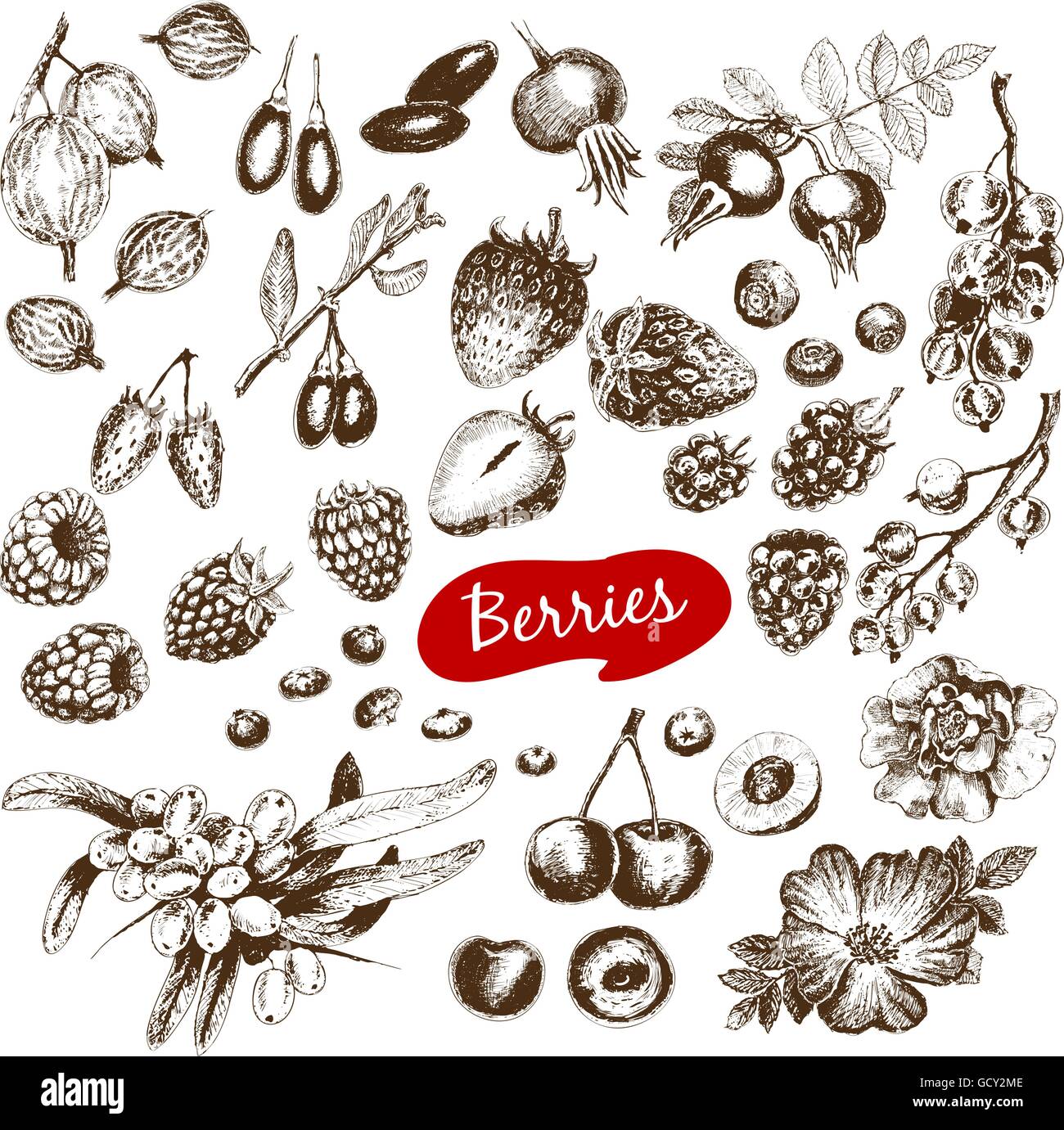 Fresh strawberries cherries fruit Stock Vector Images - Alamy