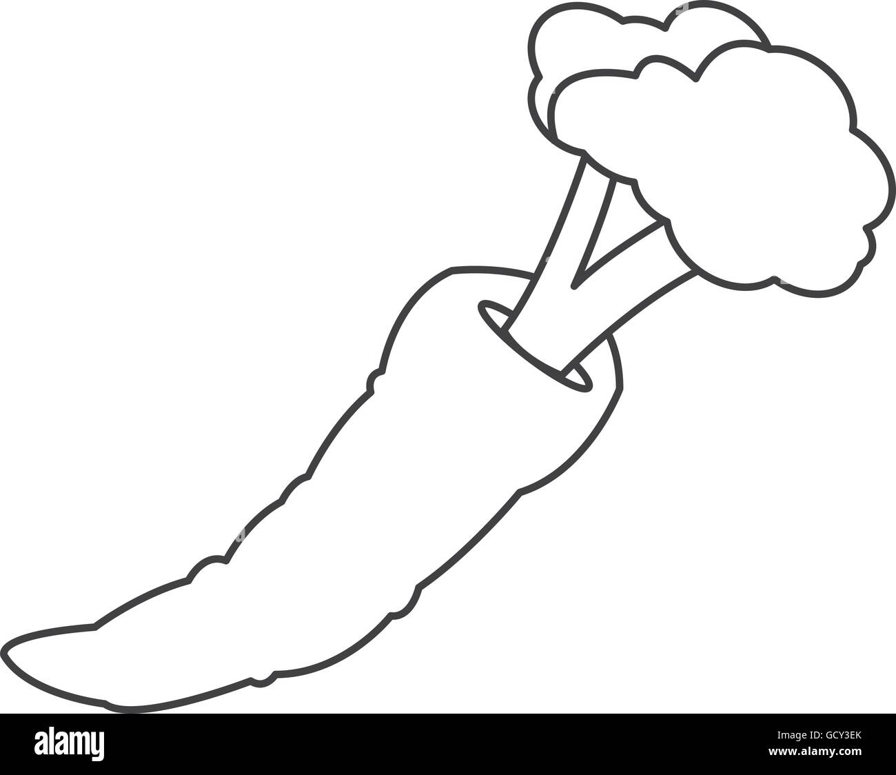 Single root organic red Black and White Stock Photos & Images - Alamy