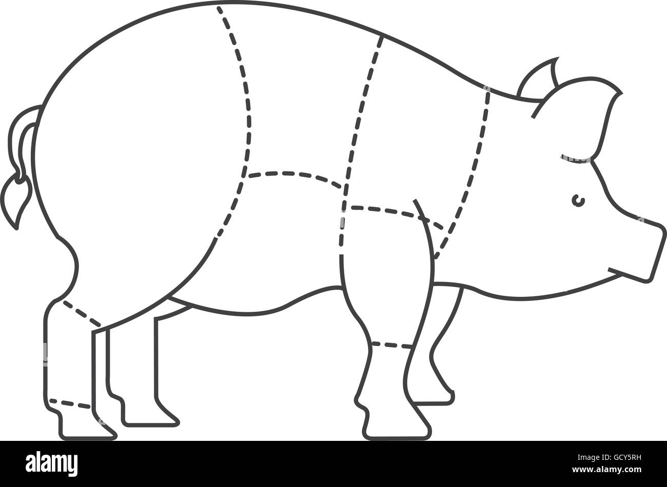Cuts pork butcher cuts diagram hi-res stock photography and images - Alamy