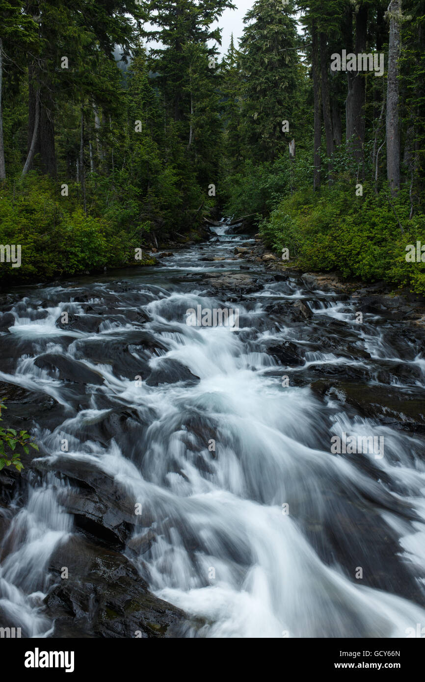 Fast moving water stream hi-res stock photography and images - Alamy