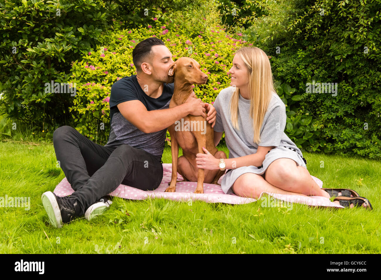 Couple on rug with man kissing dog Stock Photo - Alamy