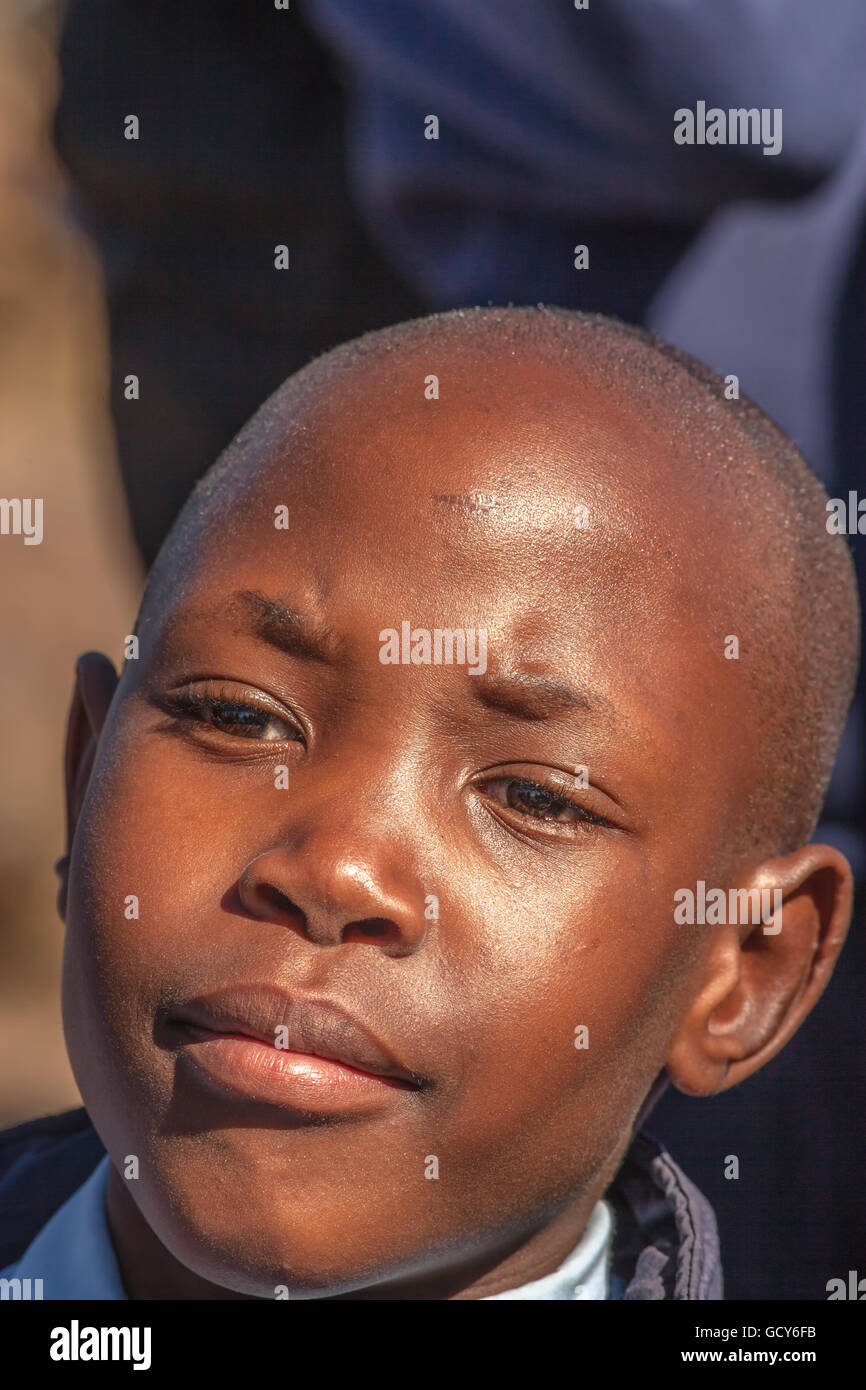 Hairless face hi-res stock photography and images - Alamy