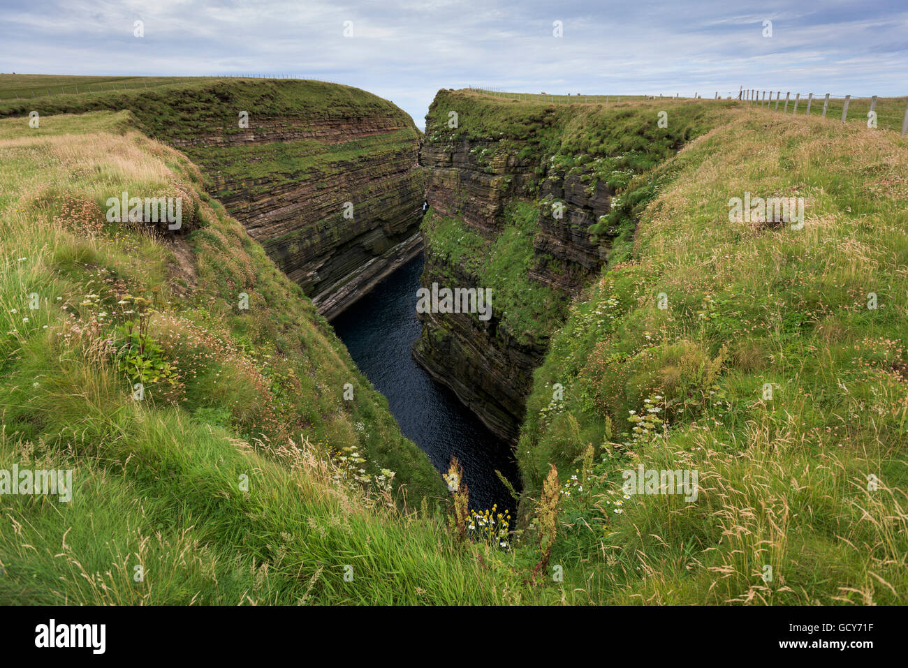 Water in a gorge between grass covered cliffs; Caithness, Scotland ...