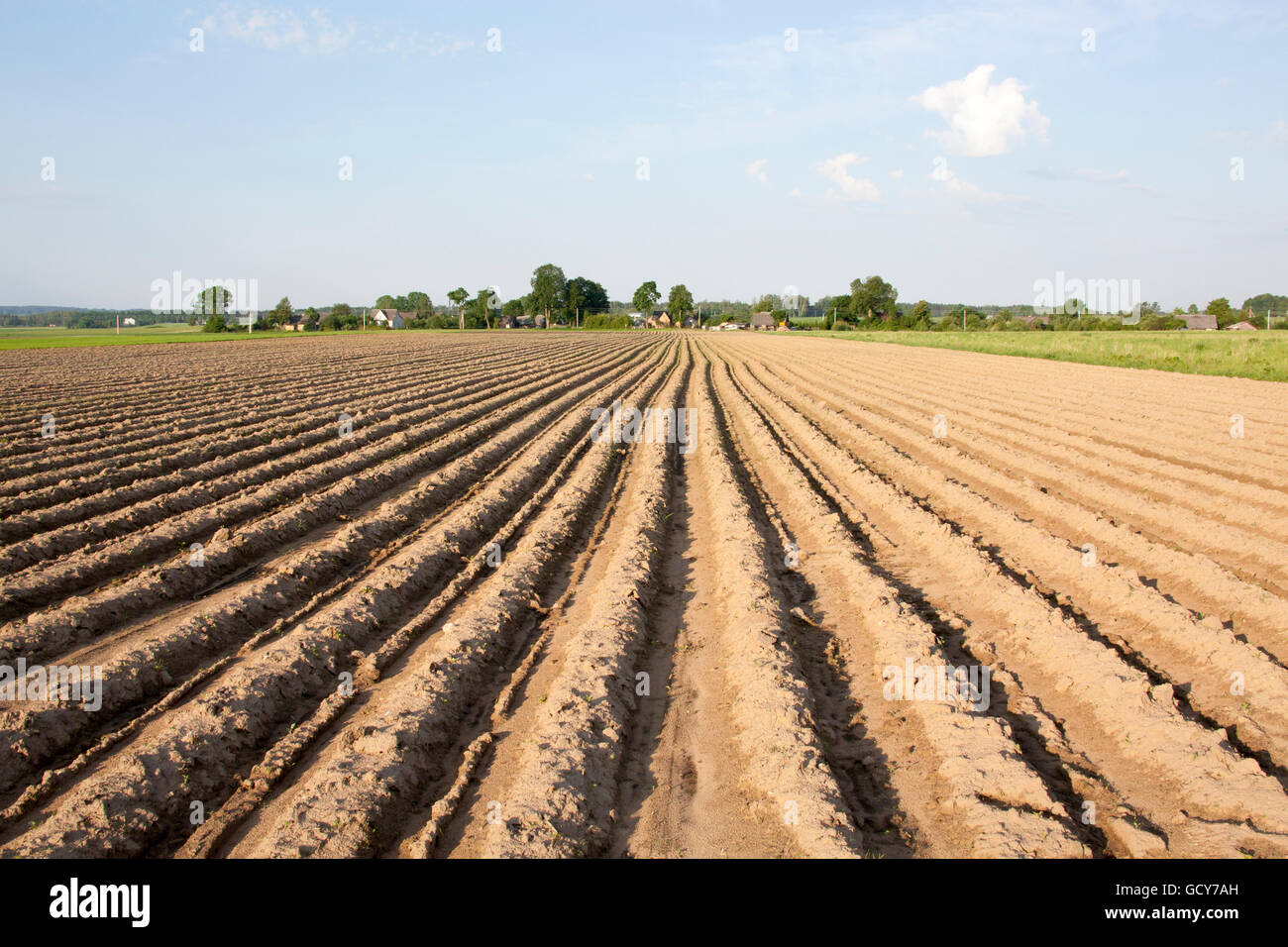 The soil of Lithuanian countryside with a village in a background Stock ...