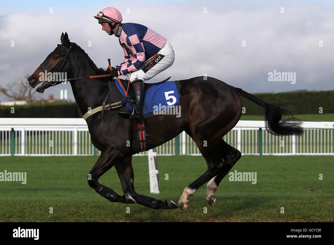 Jockey Jodie Mogford on Harry Hunt goes to post in the Lindley Catering ...