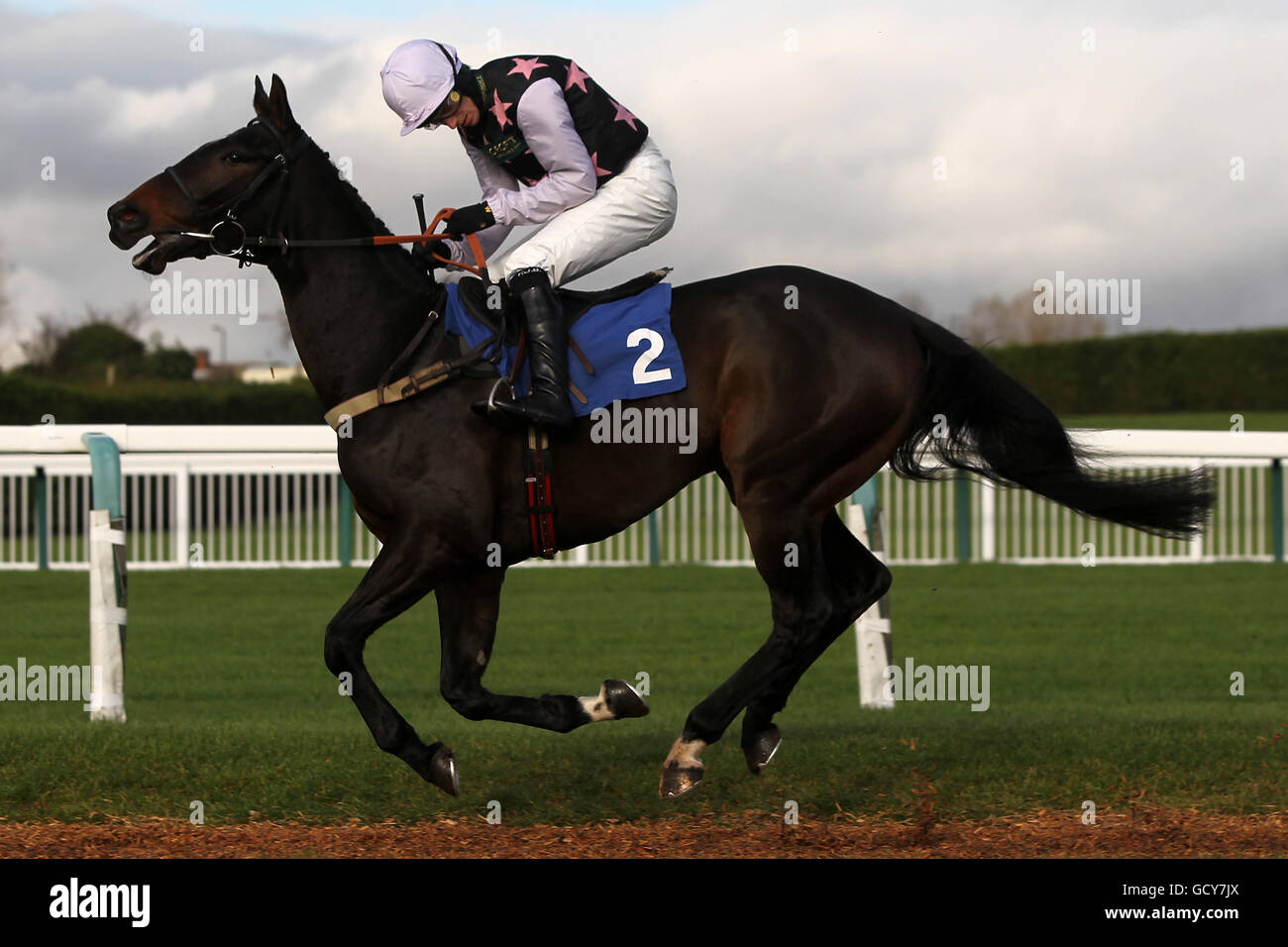 Jockey Mark Quinlan on Matrow's Lady goes to post in the Lindley ...