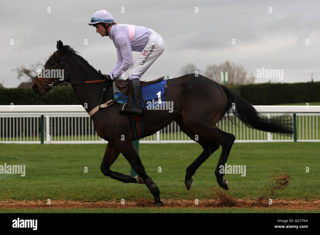 Horse Racing - Hereford Racecourse Stock Photo - Alamy