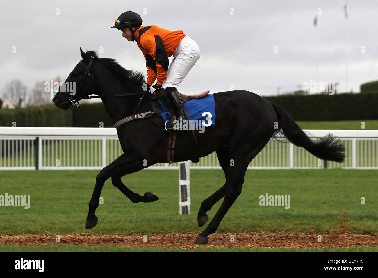 Jockey josh wall hi-res stock photography and images - Alamy