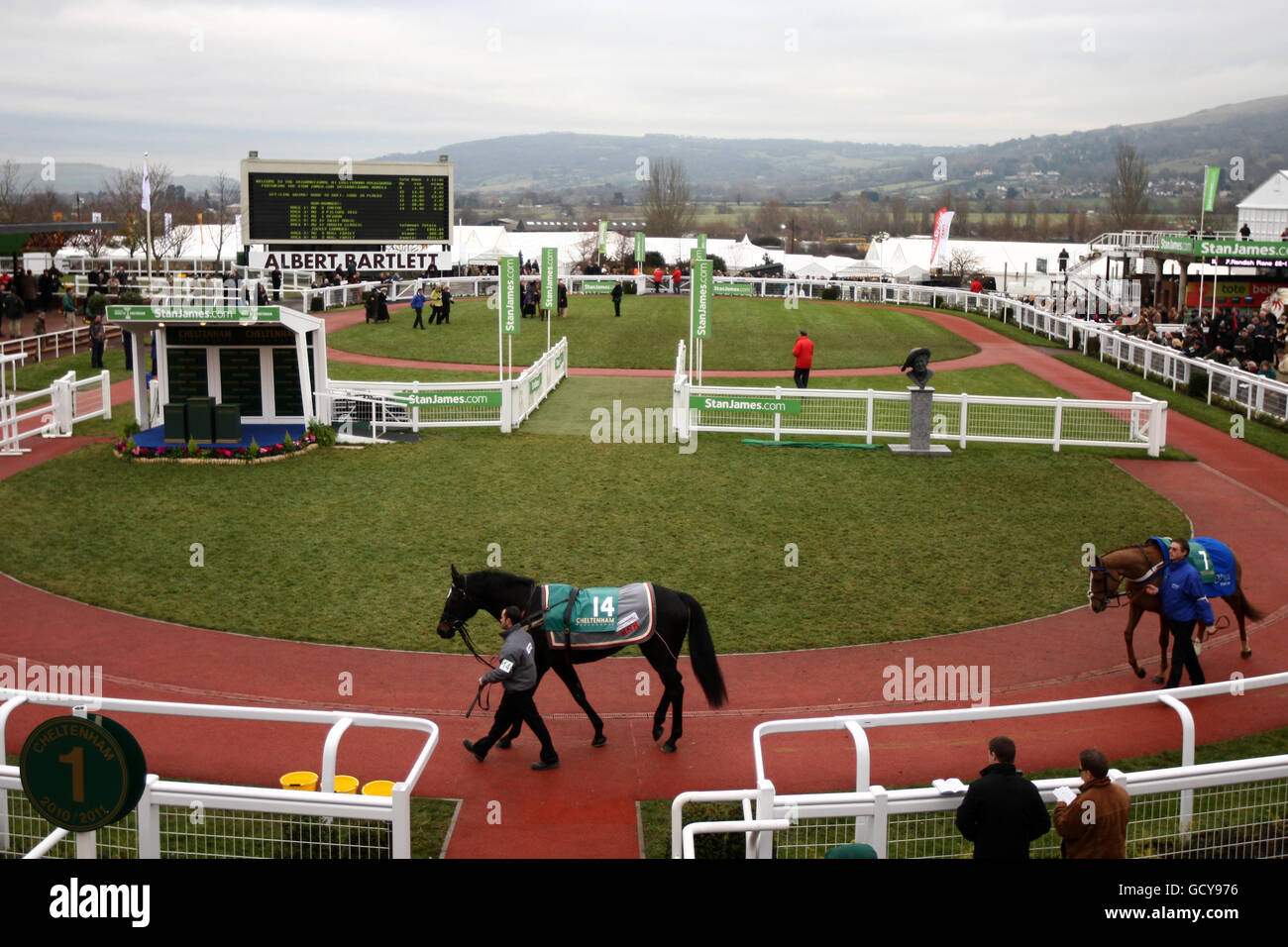 A horse is lead around the parade ring at Cheltenham Racecourse Stock ...