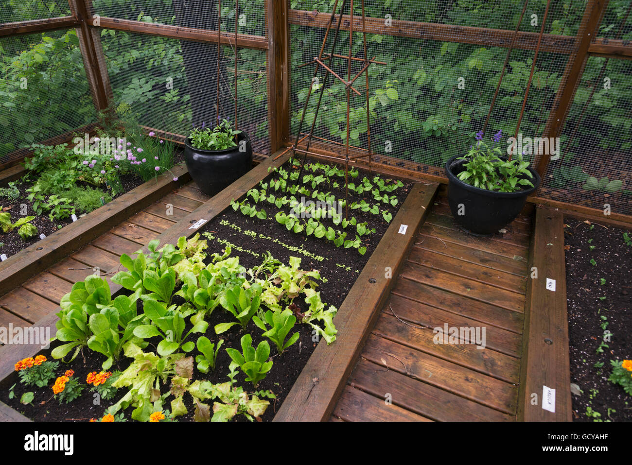 Ontario vegetable gardens hi-res stock photography and images - Alamy
