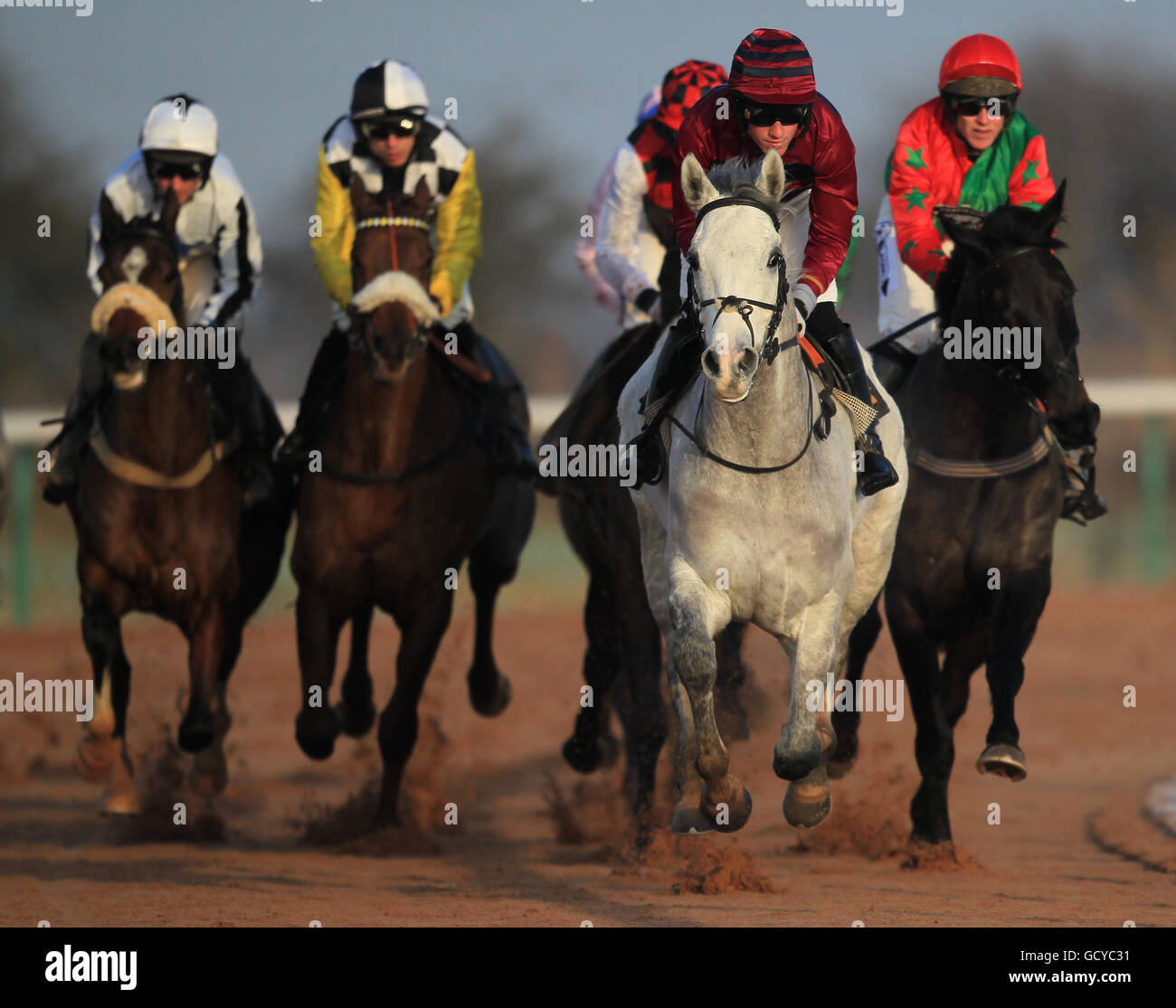 Horses go around the first bend in the Bet Totepool At totesport.com ...