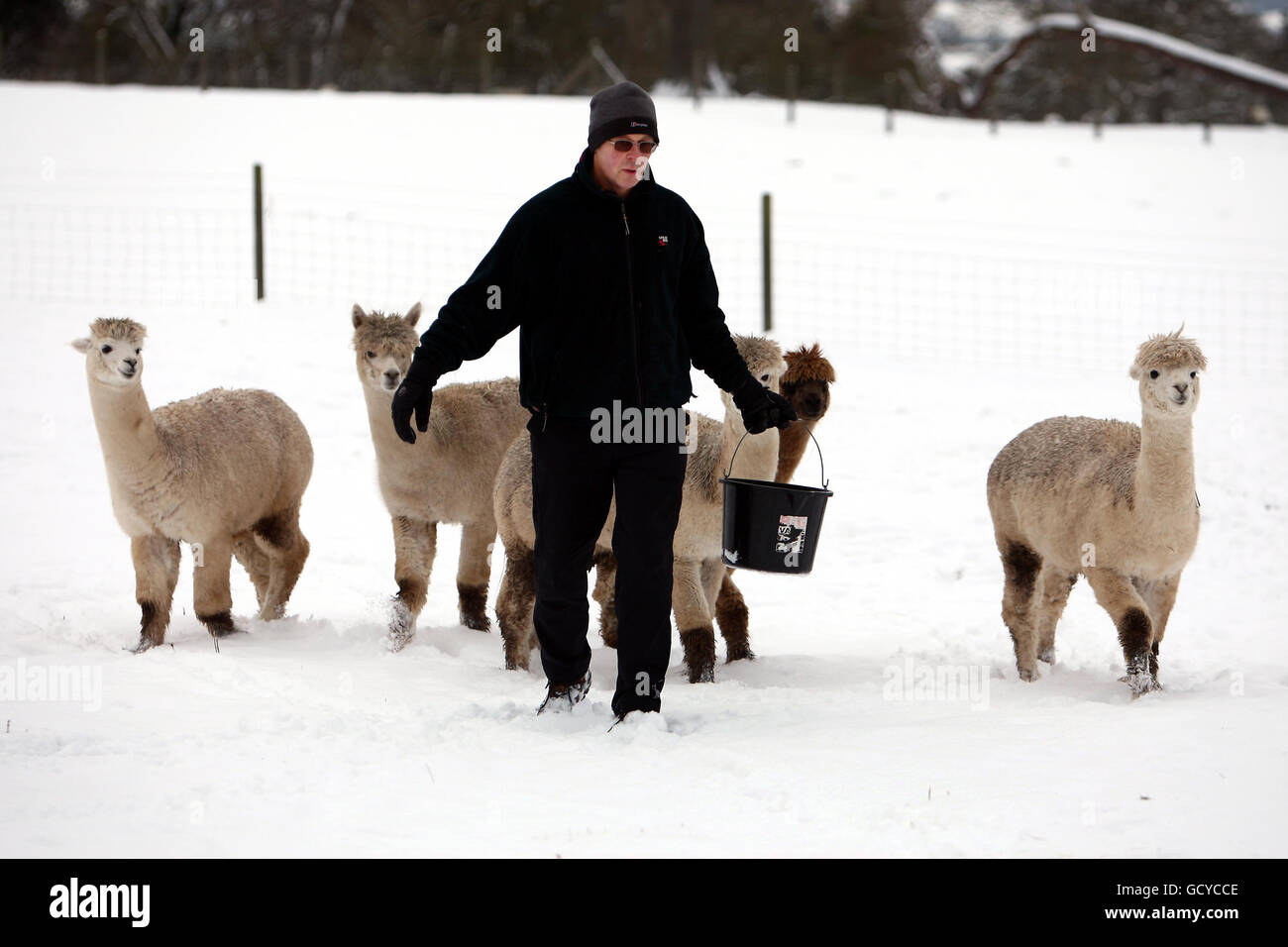 Peter watts watchbury farm hi-res stock photography and images - Alamy