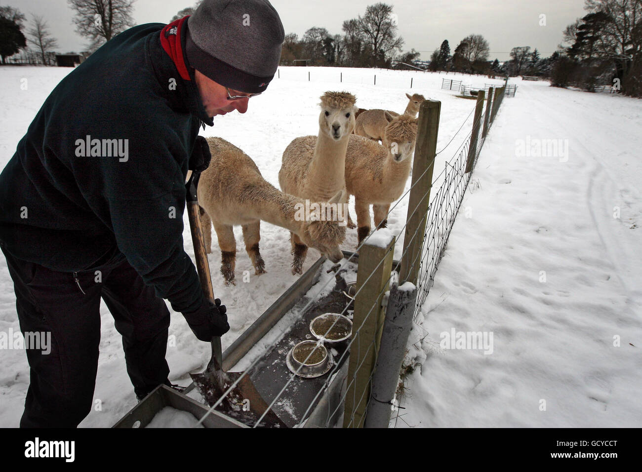 Peter watts watchbury farm hi-res stock photography and images - Alamy