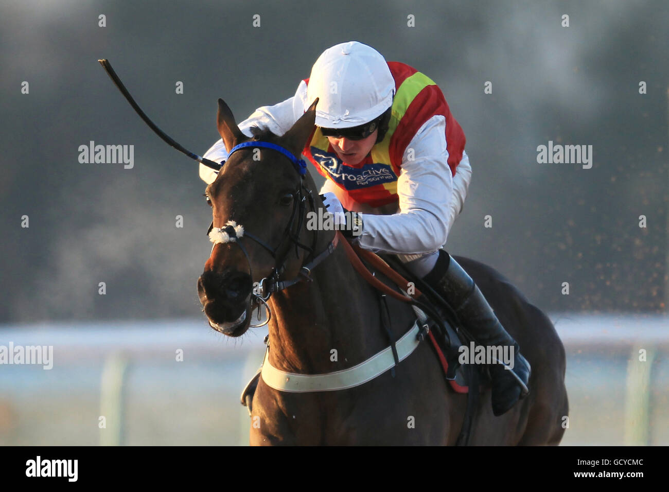 Top flat racing jockey hi-res stock photography and images - Alamy