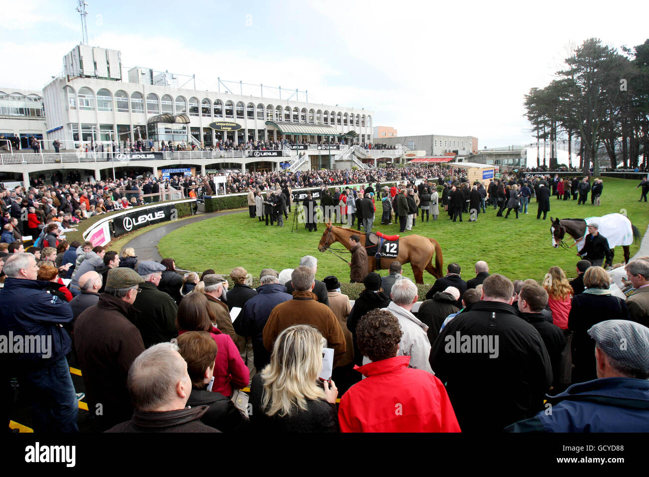 A general view of the parade ring during day three of the Christmas ...