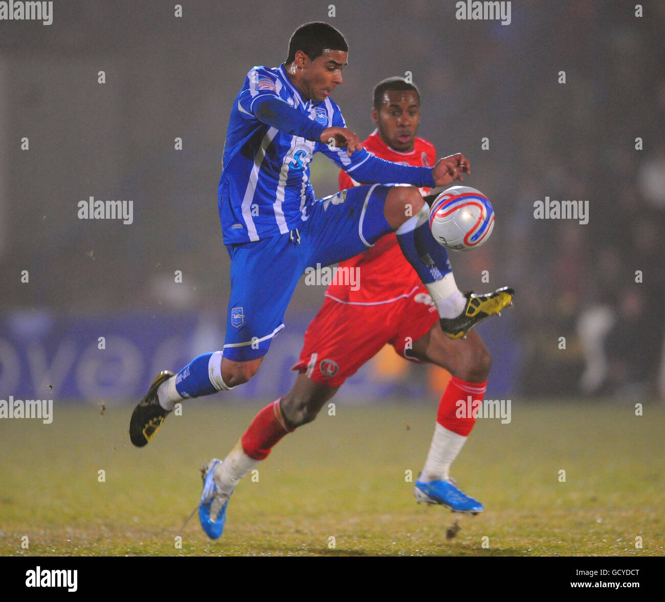 Brighton & Hove Albion's Liam Bridcutt and Charlton Athletic's Therry ...