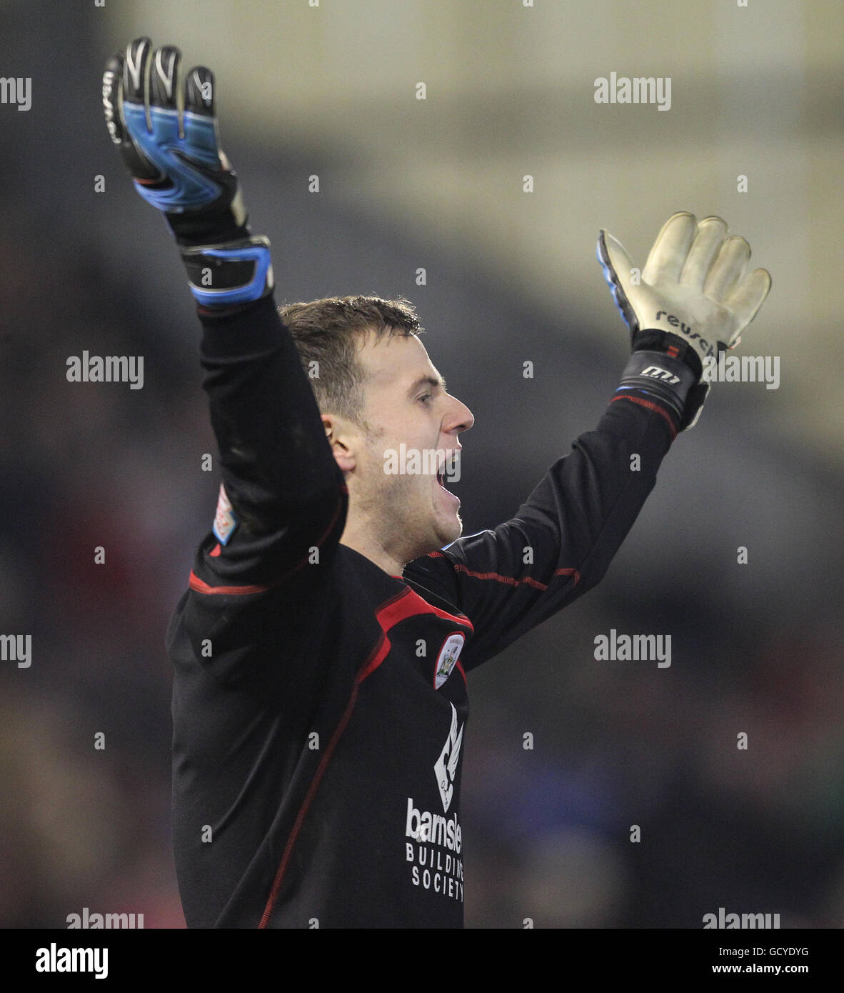 Luke steele hi-res stock photography and images - Alamy