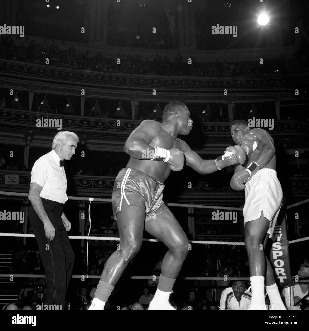 Boxing - Heavyweight - Gary Mason v Tyrell Biggs - Royal Albert Hall ...