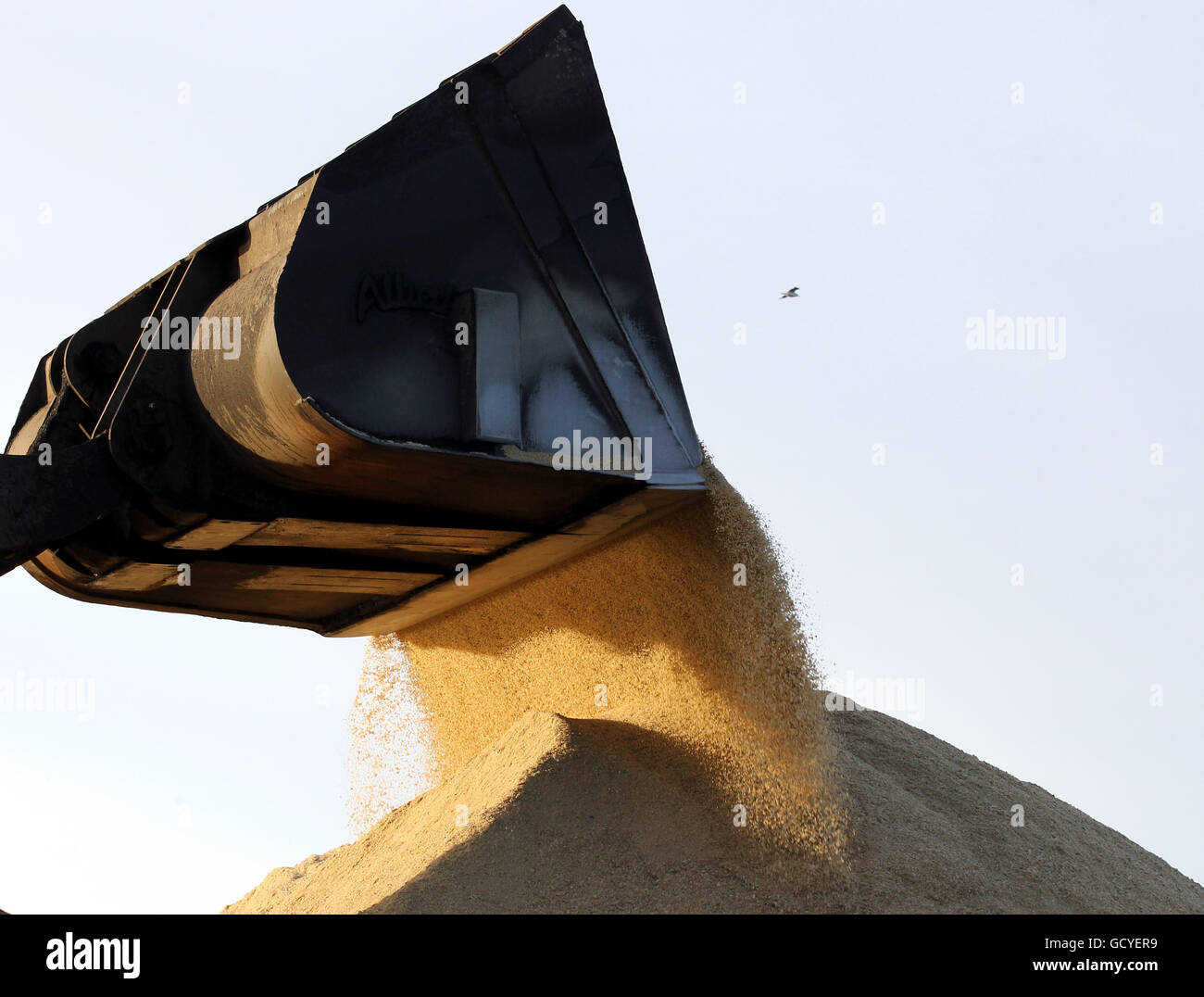 A general view of a mechanical loader moving salt at Leith Docks in ...