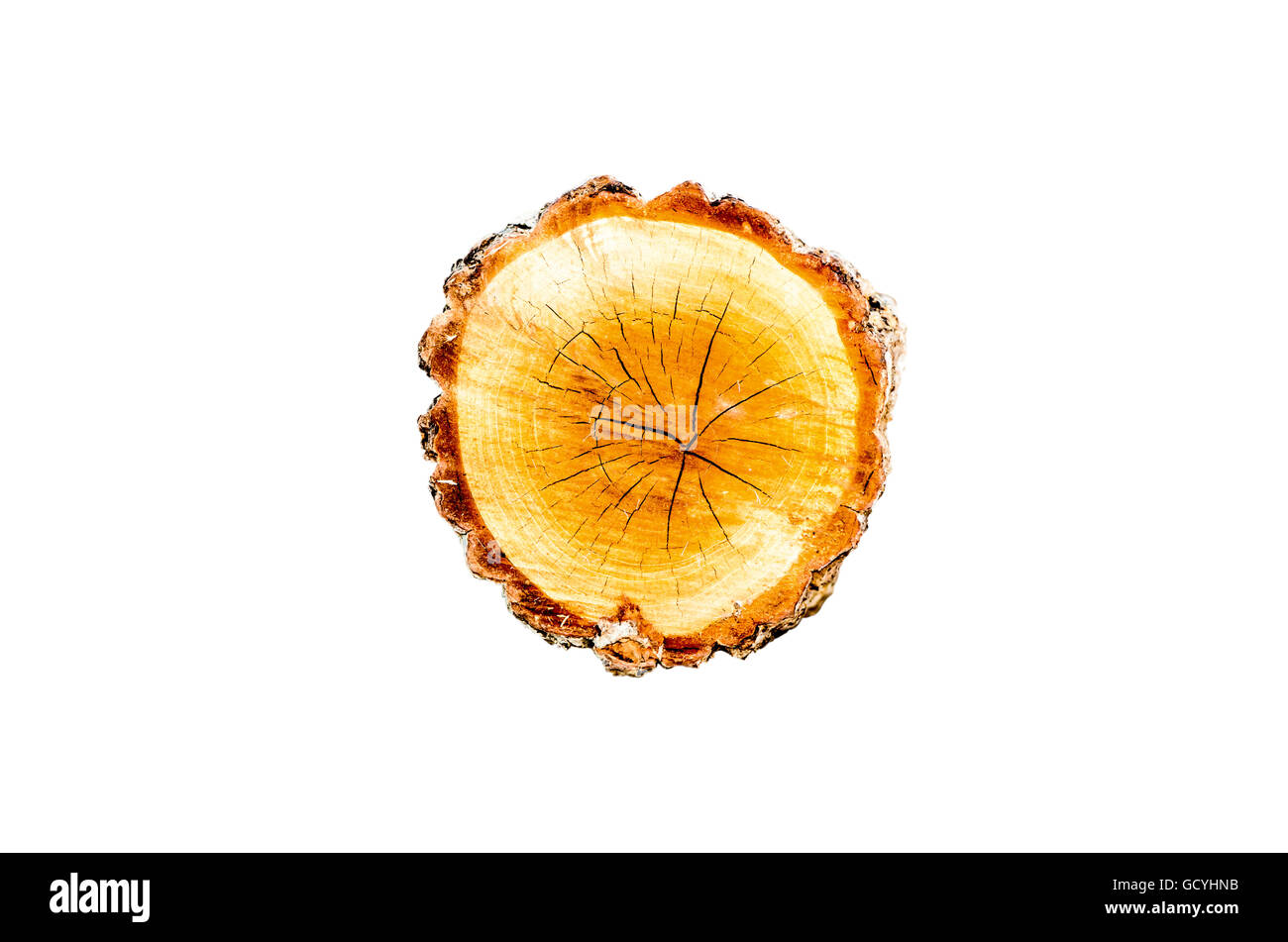 Top view tree hi-res stock photography and images - Alamy