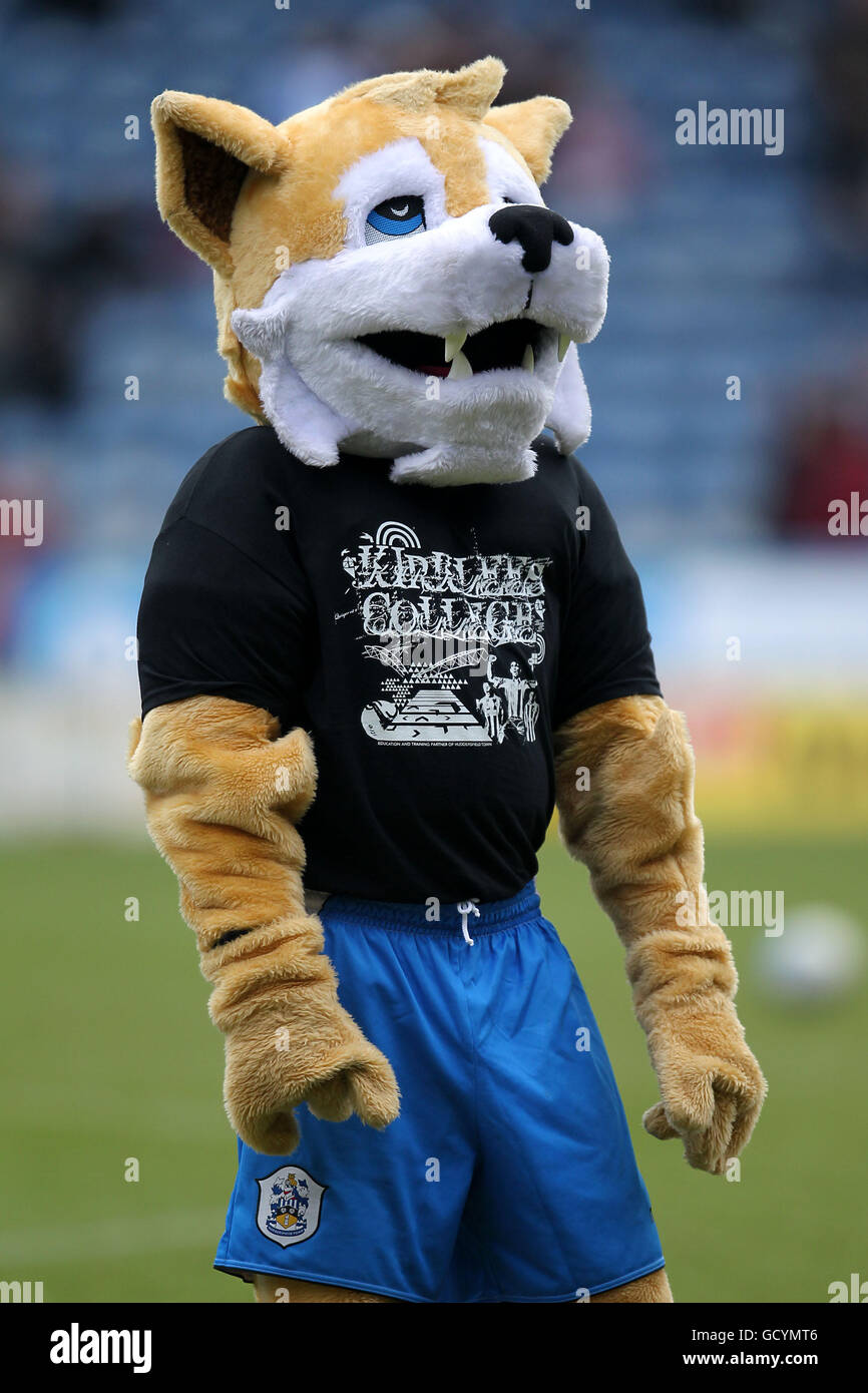 Sheffield wednesday mascot High Resolution Stock Photography and Images ...