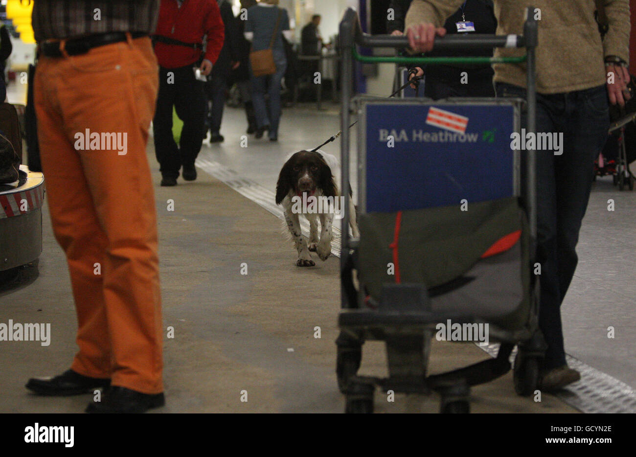 X ray scanner border hi-res stock photography and images - Alamy