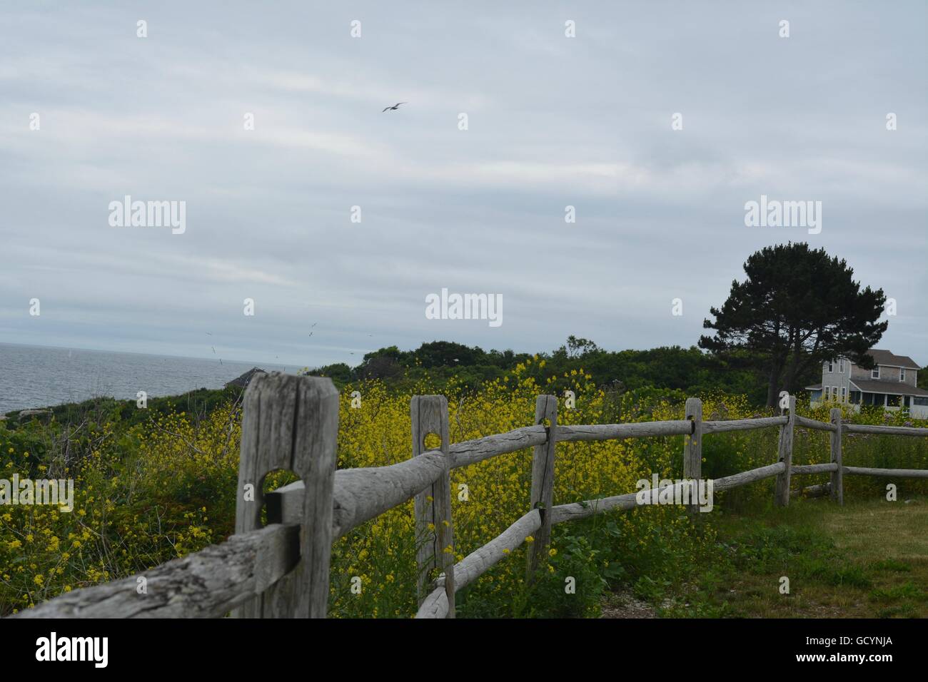 Bakers island lighthouse hi-res stock photography and images - Alamy