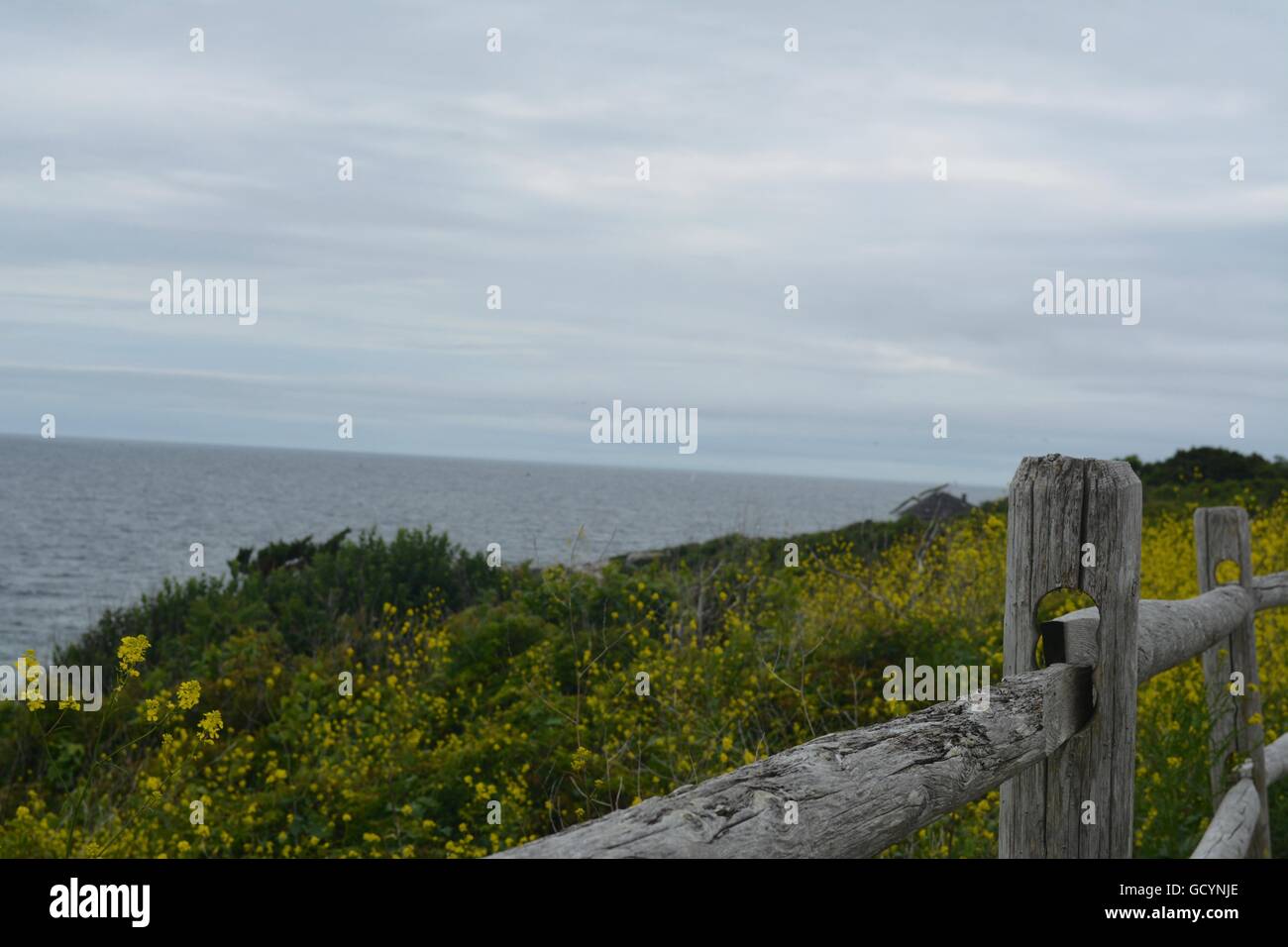 A scenic natural landscape featuring a fence on Bakers Island in Salem ...