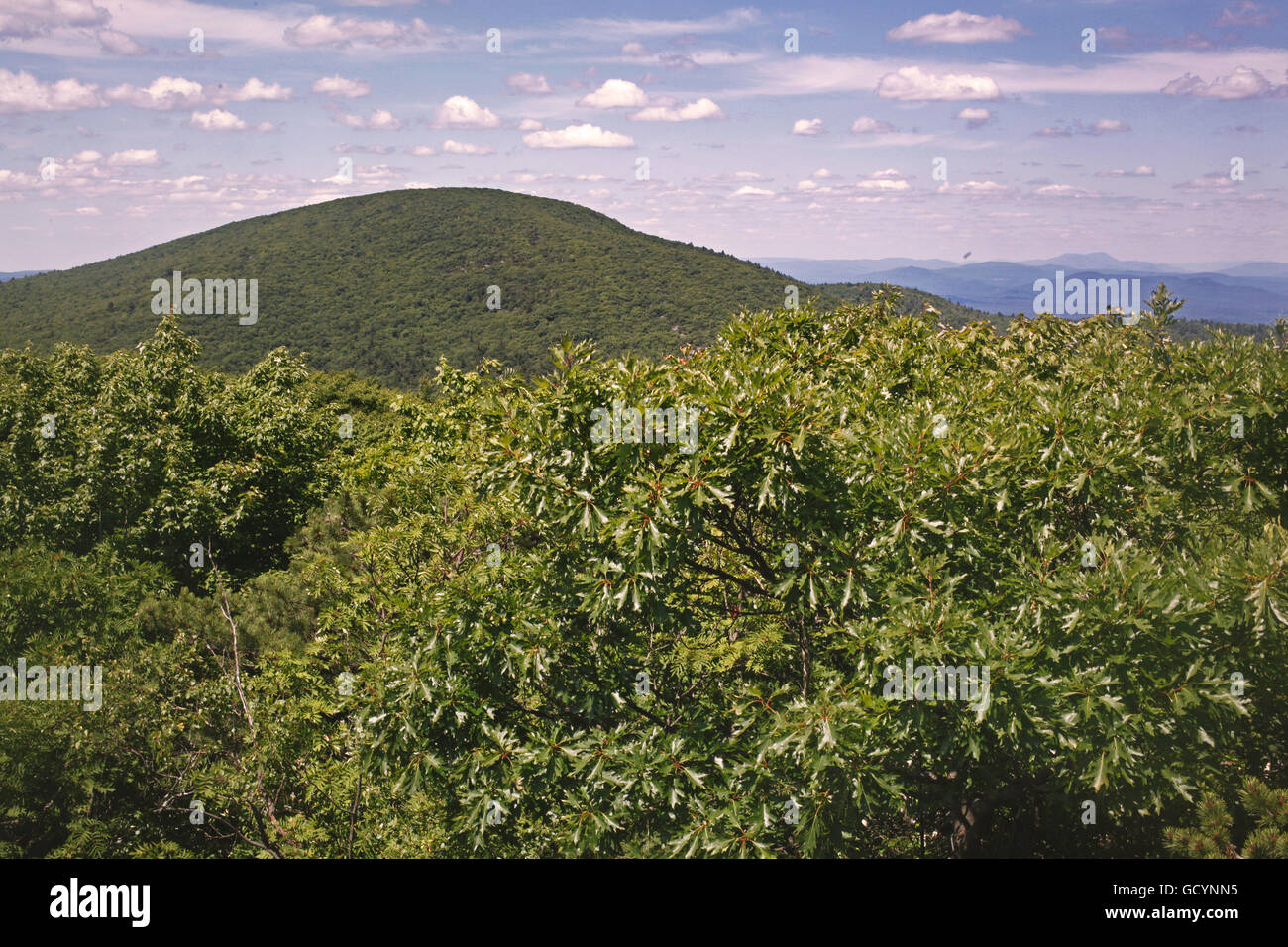 Mount everett massachusetts hi-res stock photography and images - Alamy