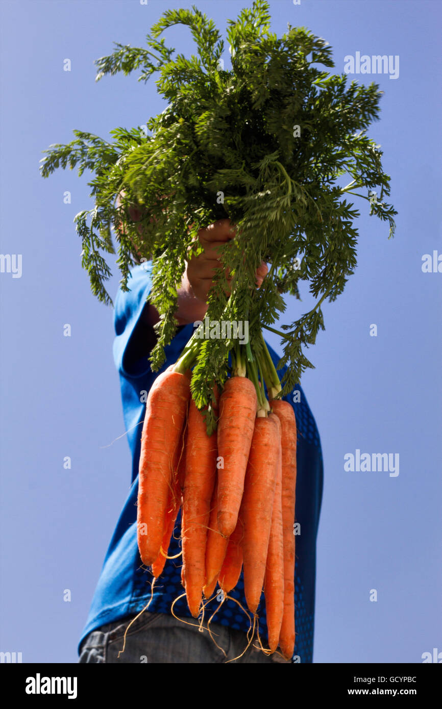 Little boy with carrots in his hand. No face. Blue sky background ...