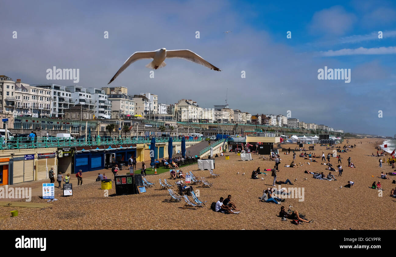 View along Brighton seafront and beaches east of the piers Sussex UK ...
