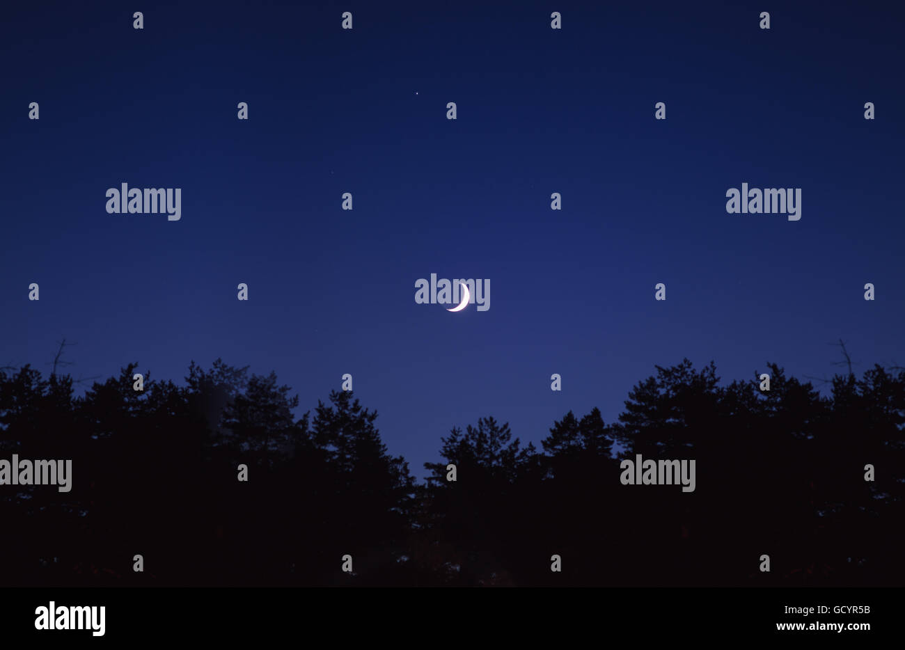 Dark forest night moon hi-res stock photography and images - Alamy