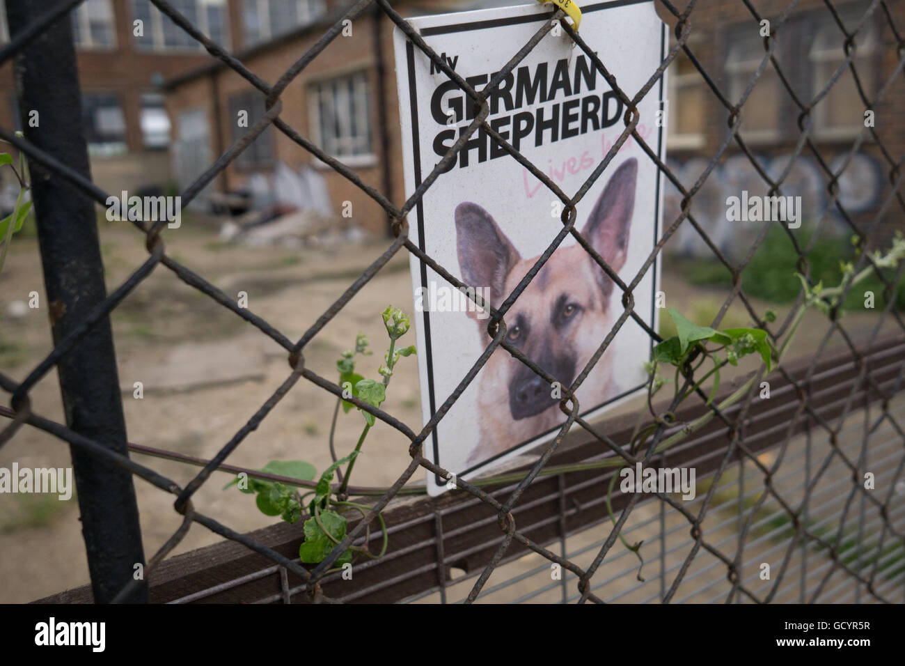 A sign warning of the presence of a German Shepherd being used as a ...