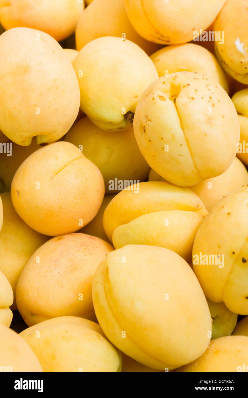 Yellow apricots in the store on the counter Stock Photo - Alamy