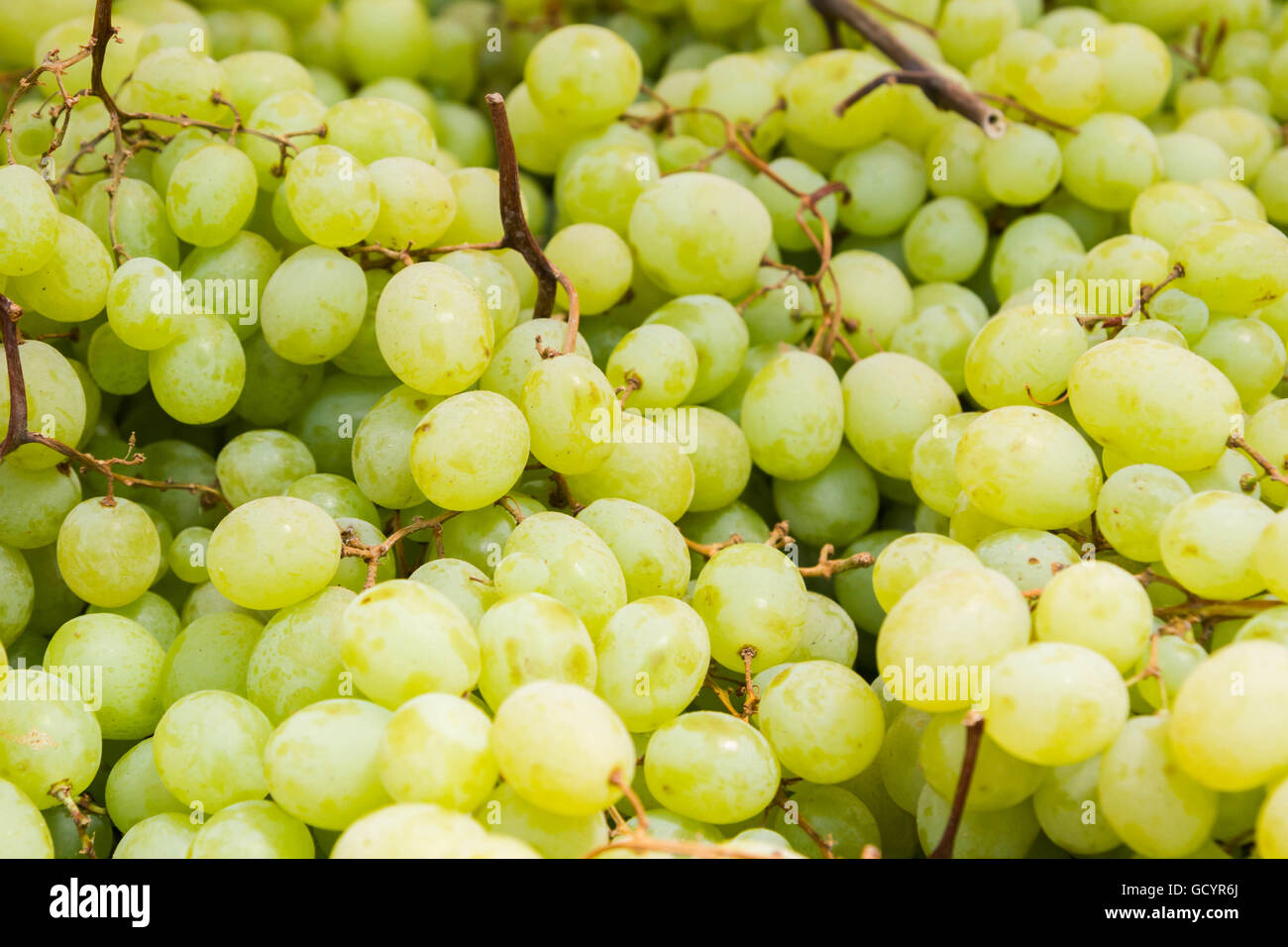 Ripe delicious grapes in the market on the counter Stock Photo - Alamy