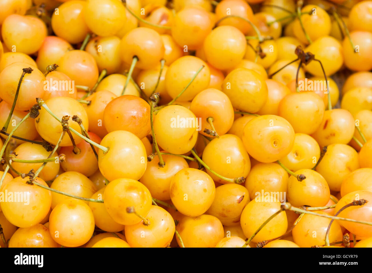 Ripe yellow cherries in the market on the counter Stock Photo - Alamy