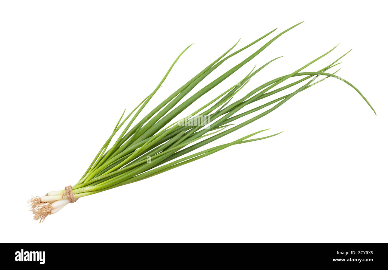 spring onion isolated Stock Photo - Alamy