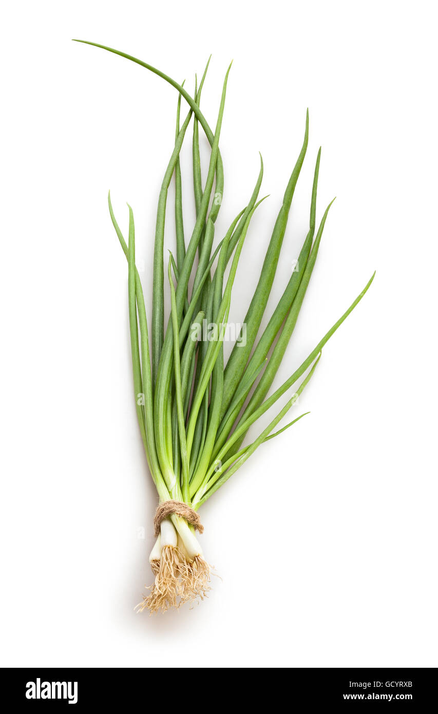 Spring onion isolated hi-res stock photography and images - Alamy