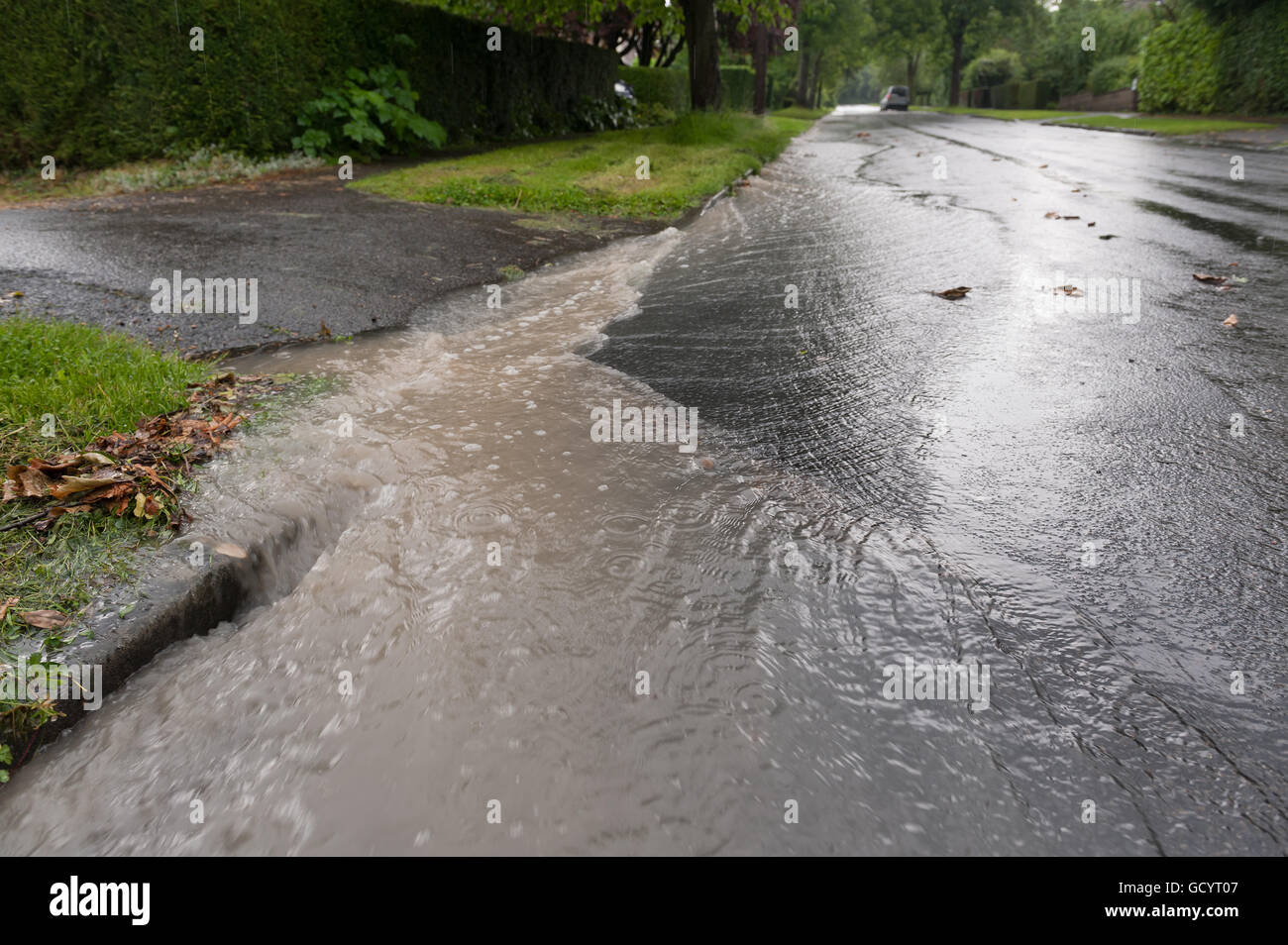 fast flowing stream produced after torrential thunder and sheets of ...