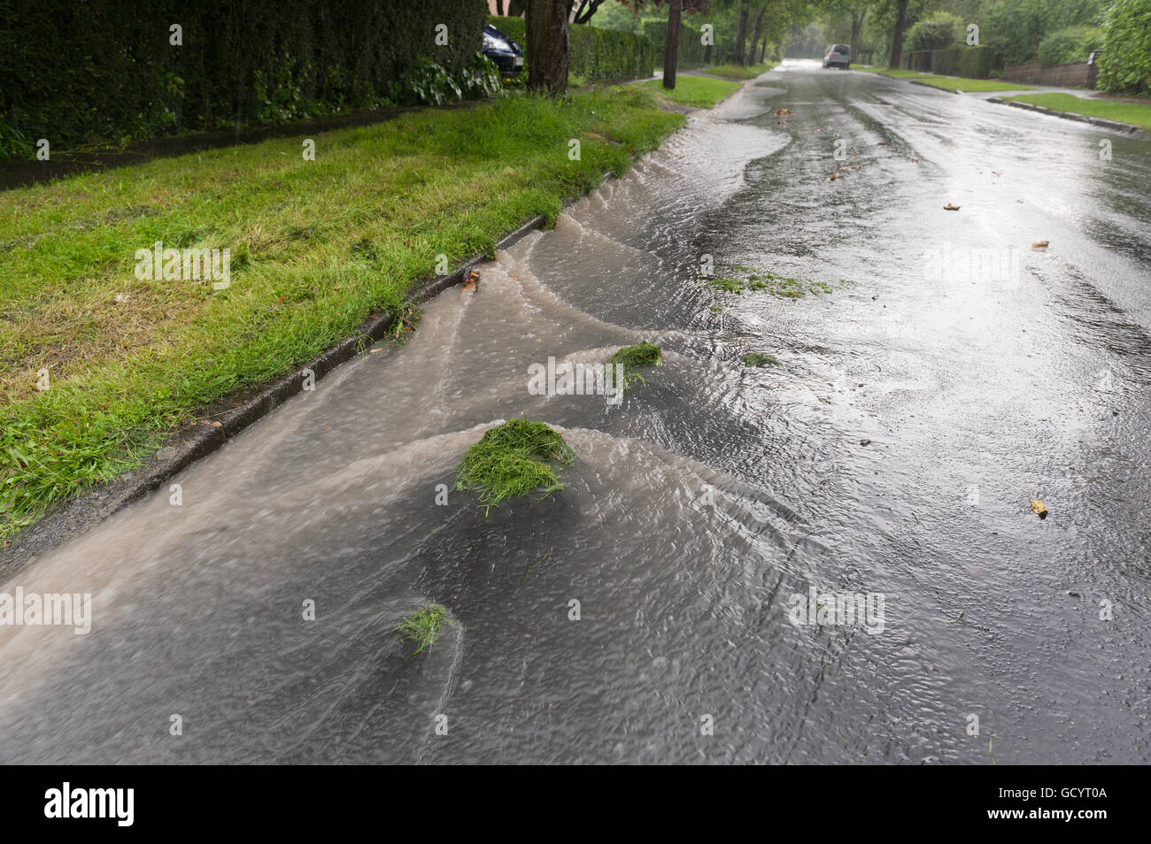 fast flowing stream produced after torrential thunder and sheets of ...