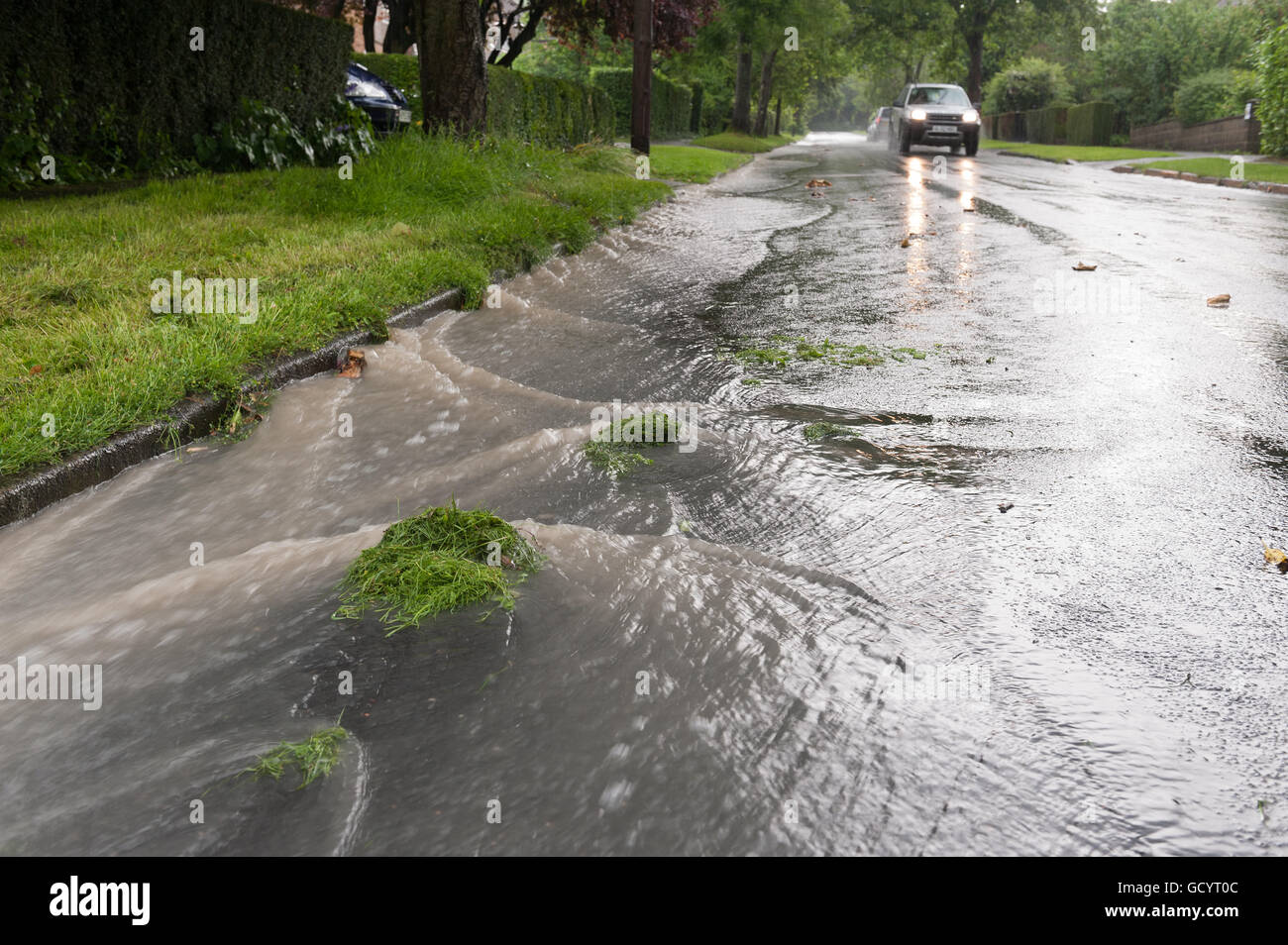 fast flowing stream produced after torrential thunder and sheets of ...