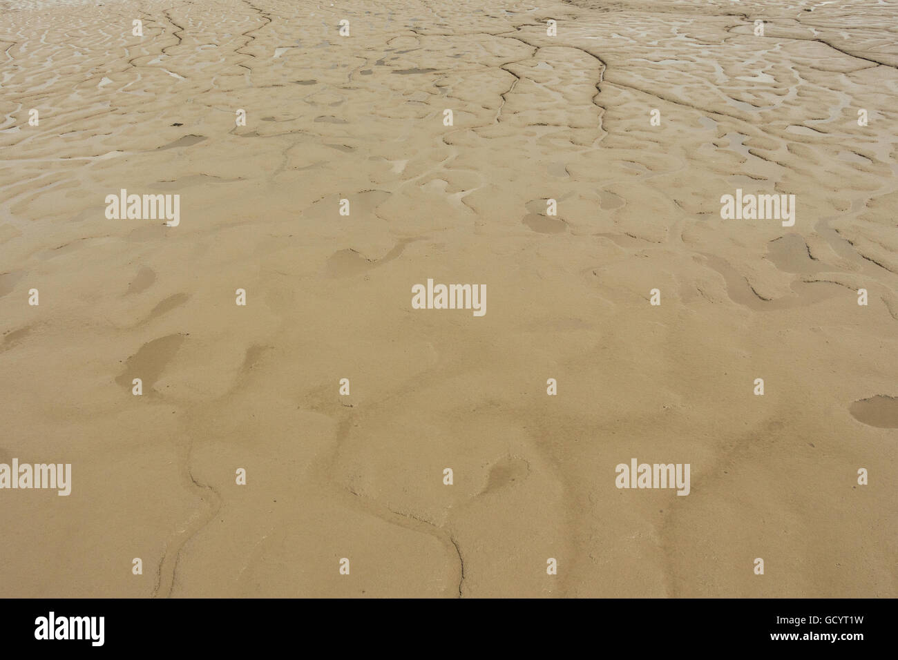 Wetlands loop hi-res stock photography and images - Alamy