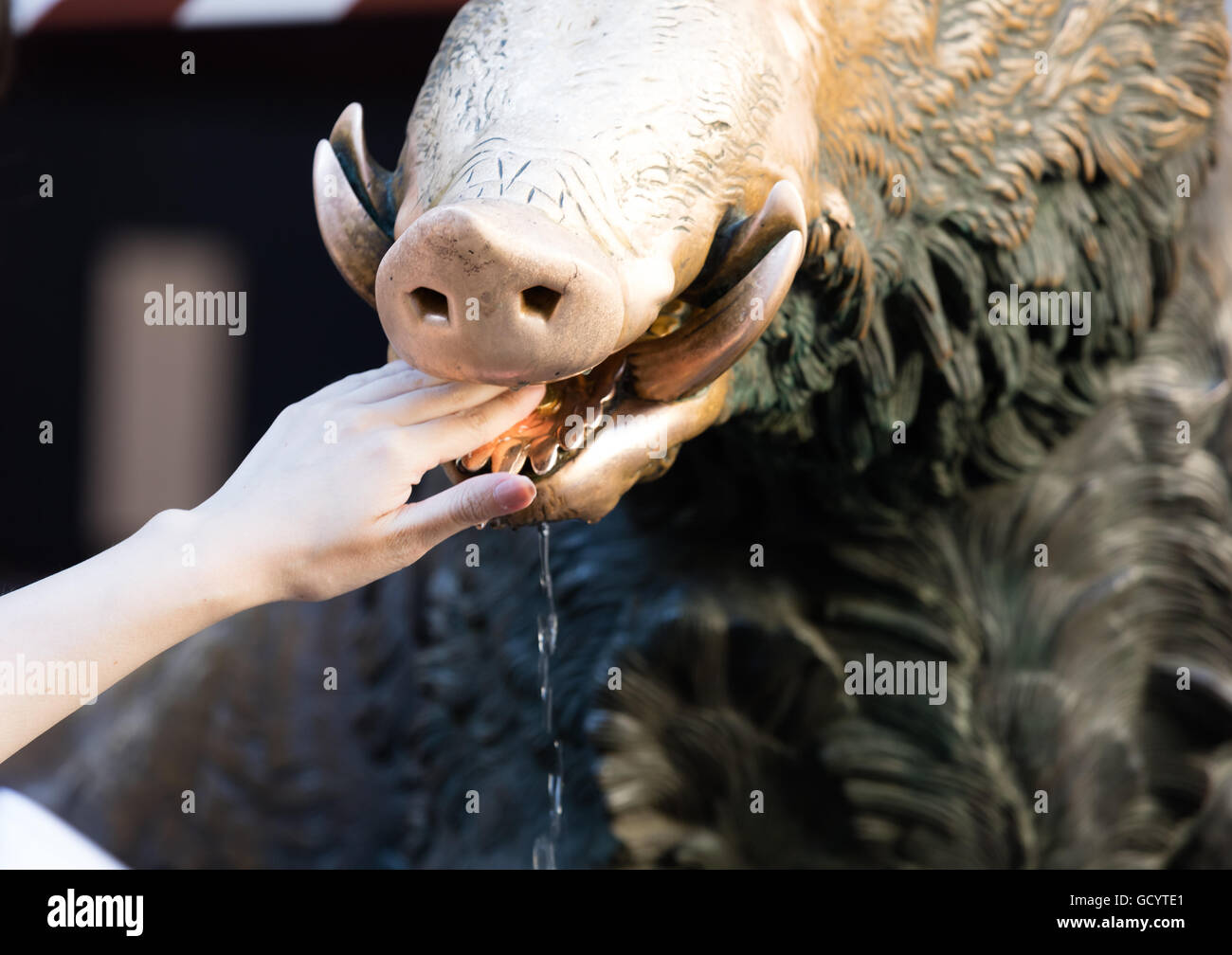 Fountain of pigs hi-res stock photography and images - Alamy