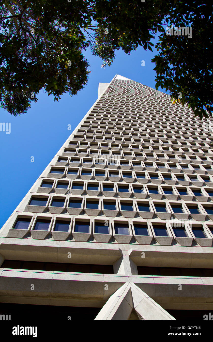 San Francisco Transamerica Pyramid Building in California Stock Photo ...