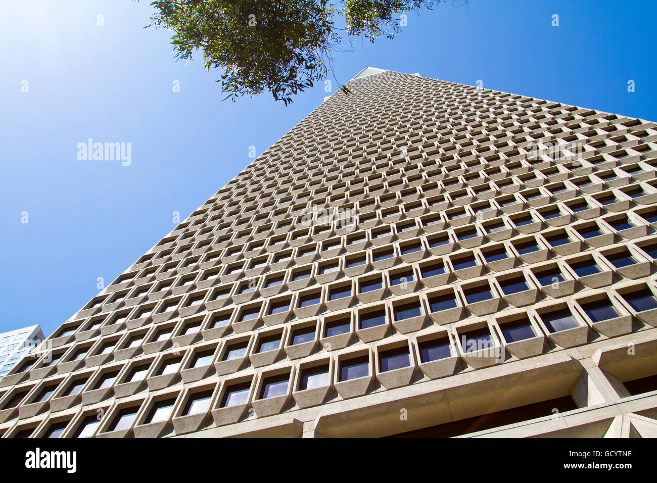 San Francisco Transamerica Pyramid Building in California Stock Photo ...