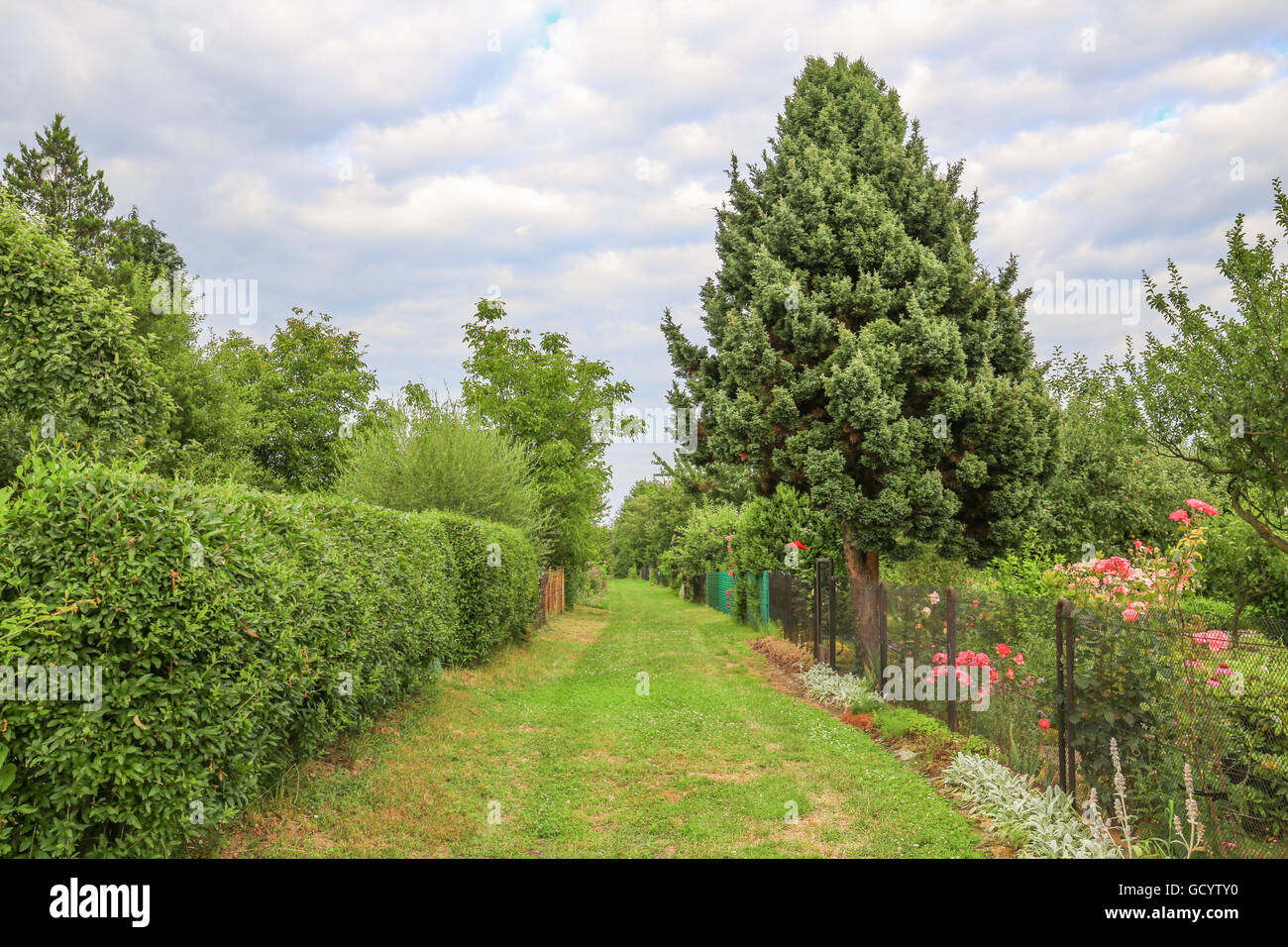 Plot view hi-res stock photography and images - Alamy