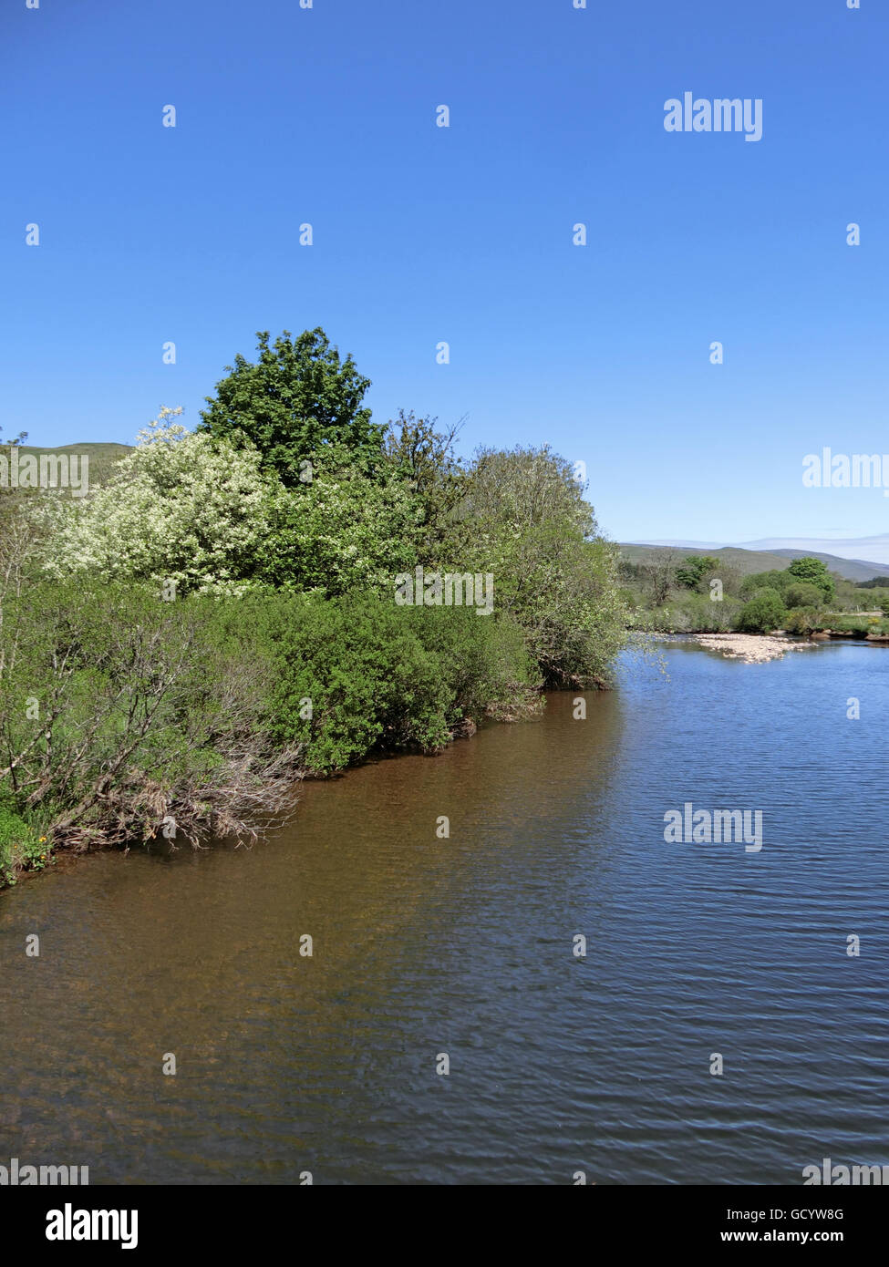 River Ettrick & Marshes, Ettrick Valley, Borders, Scotland, UK Stock ...