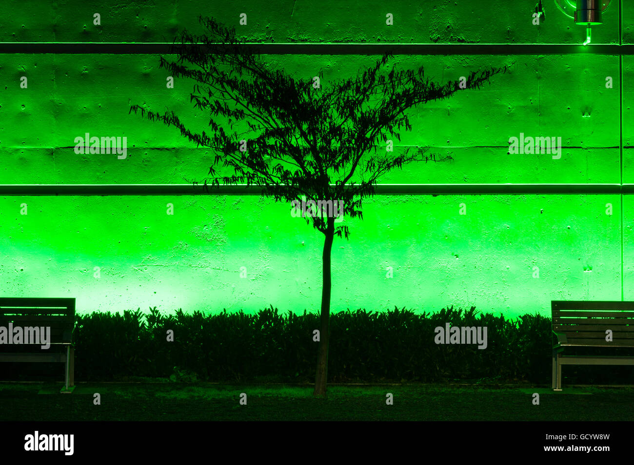 Downtown park at night with bright green wall and park bench Stock ...