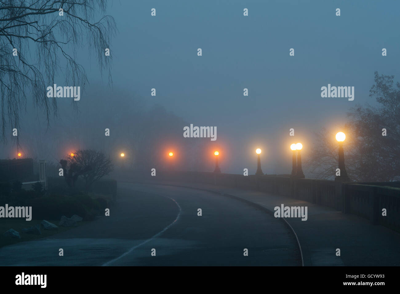 Roadway with street lights lining sidewalk sunrise in fog Stock Photo ...